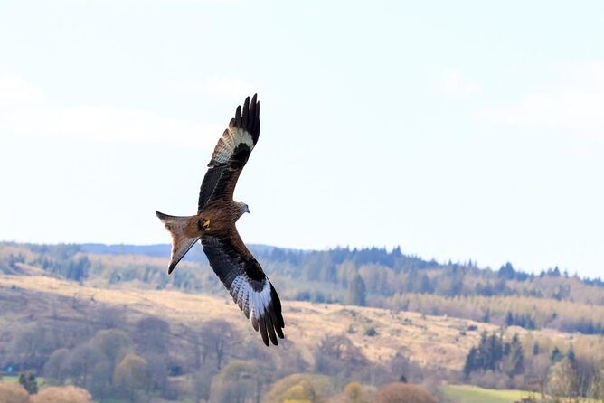 North Highlands from Inverness - An In-Depth Look at the North Highlands Tour