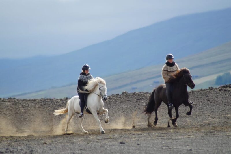 North Iceland: Horseback Riding Tour - North Iceland: Horseback Riding Tour – A Genuine Icelandic Experience