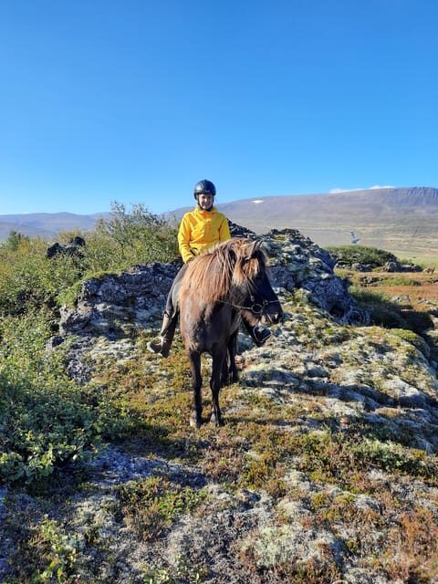 North Iceland: Horseback Riding Tour - The Sum Up
