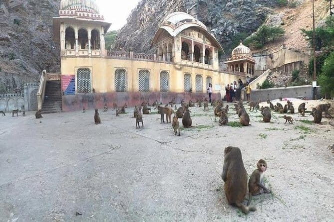 North India Tour Package - An Overview of the Itinerary