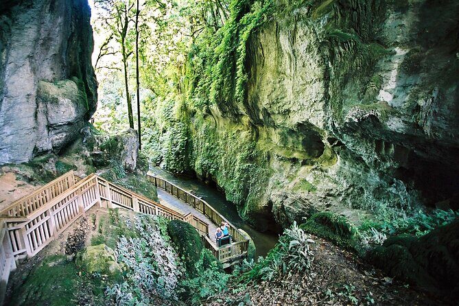 North Island Four-Day Highlights Tour from Auckland - Transportation and Logistics