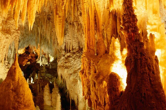 North Island Four-Day Highlights Tour from Auckland - FAQ