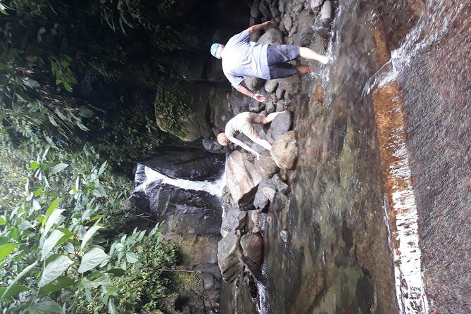 North Island Tour And Martinique Best Secret - Value and Who This Tour Is For