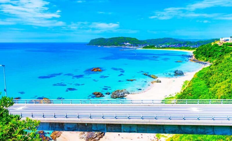 North Kyushu Tour: Akiyoshido Cave & Motonosumi Inari Shrine - Practical Details and Value