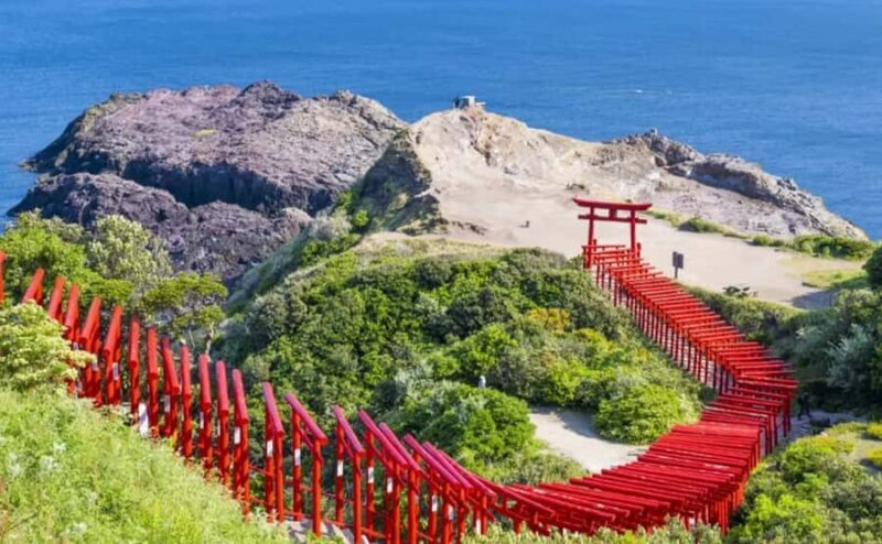 North Kyushu Tour: Akiyoshido Cave & Motonosumi Inari Shrine - Who Will Love This Tour?