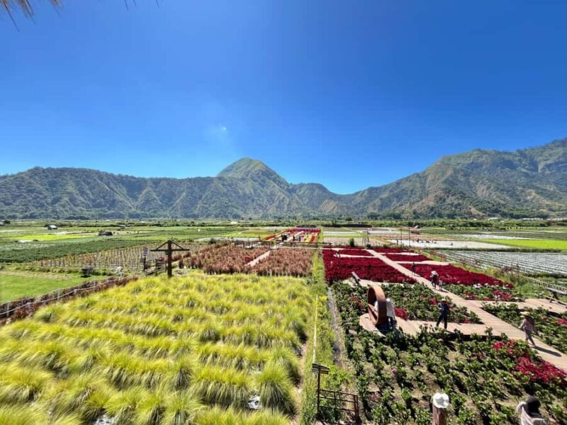 North Lombok: Explore Sendang Gile, Tiu Kelep & Selong Hill - Key Points