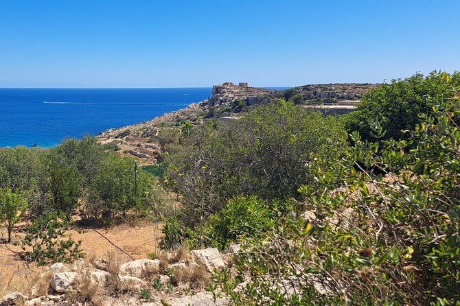 North Malta Quad Bike Tour with Land or Sea Views and Swimming - An In-Depth Look at the North Malta Quad Bike Experience