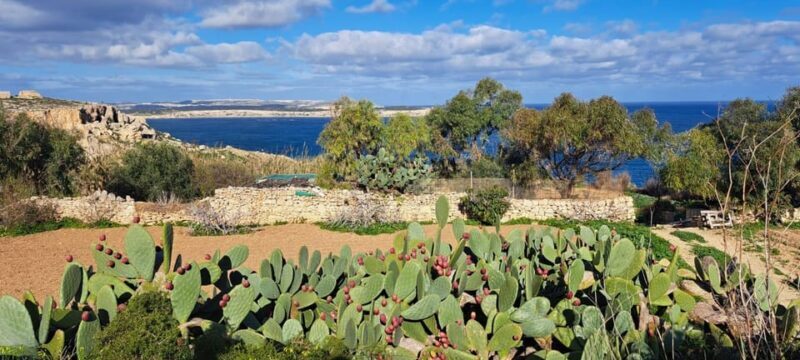 North Malta: Quad Bike Tour with Scenic Land, Sea & Swimming - Final Leg and Return