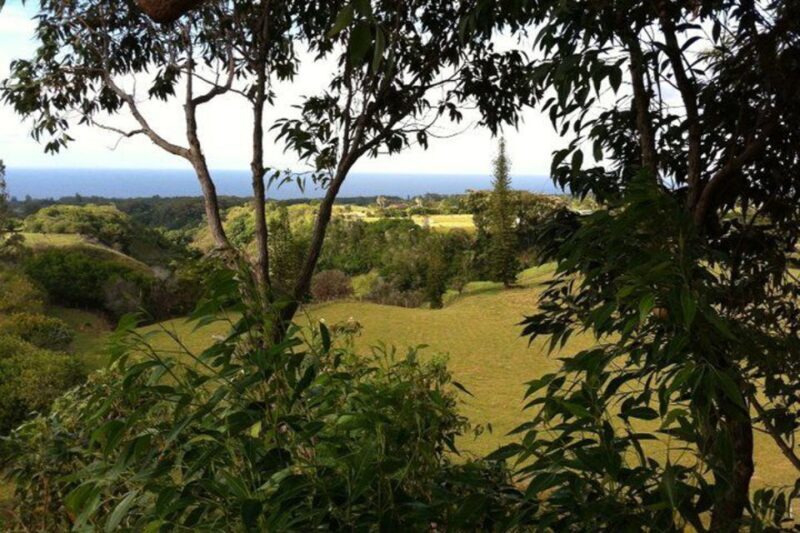 North Maui: 7 Line Zipline Adventure with Ocean Views - The Historical Context: Camp Maui