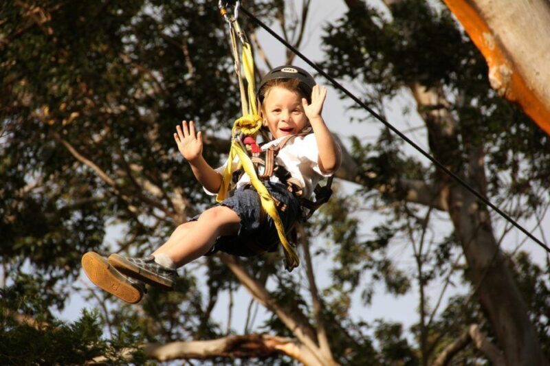 North Maui: 7 Line Zipline Adventure with Ocean Views - Safety and Support: What the Reviews Say