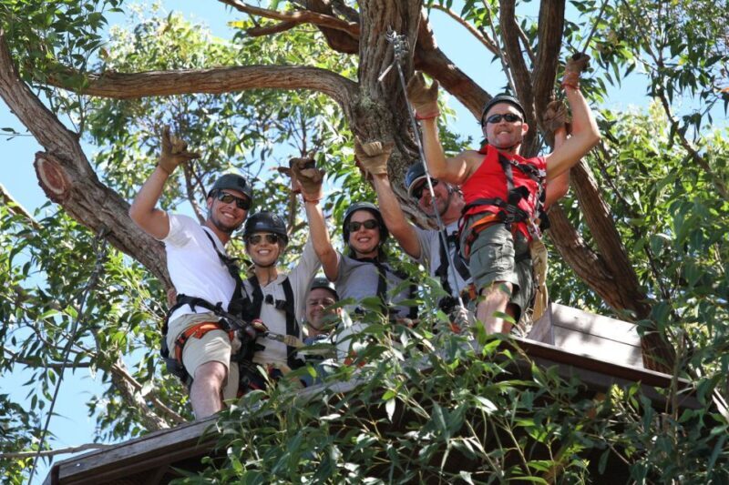North Maui: 7 Line Zipline Adventure with Ocean Views - Who Should Consider This Tour?