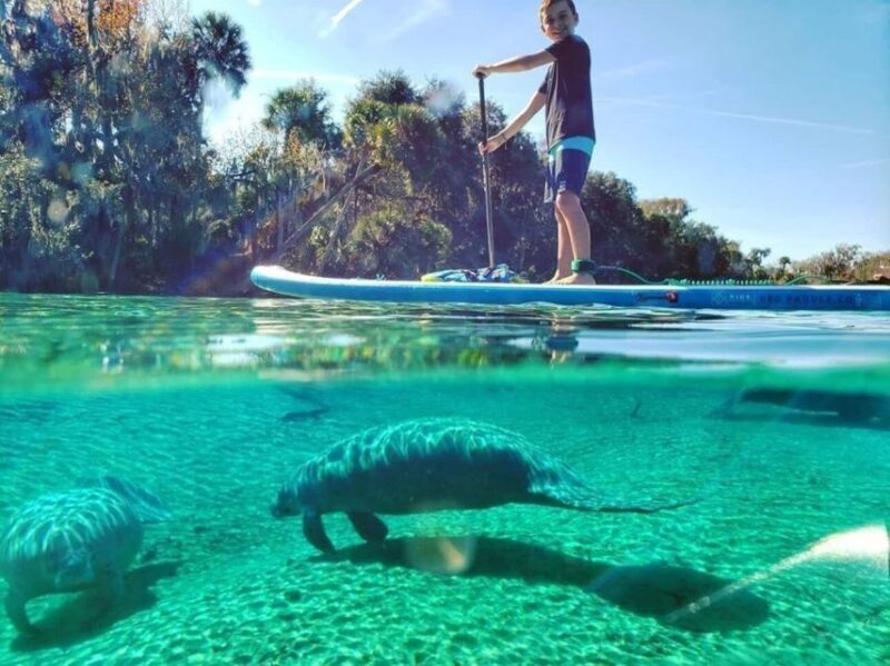 North Miami: Nature & Island Exploration on SUP/Kayak - The Sum Up