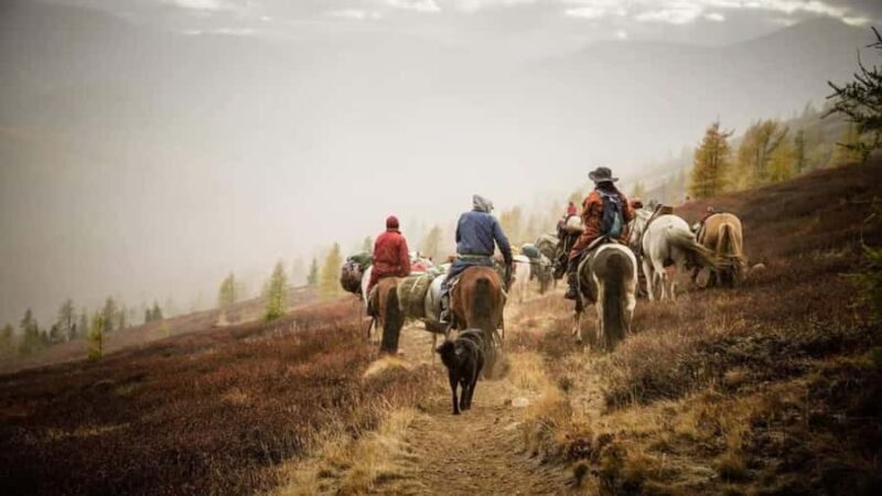 North Mongolia: 13-Day Reindeer Family Visiting Tour - Key Points