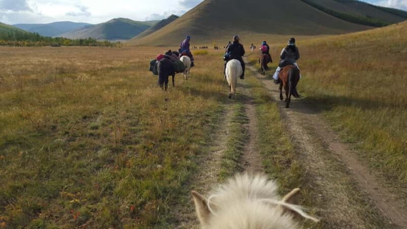 North Mongolia: 13-Day Reindeer Family Visiting Tour - Final Thoughts
