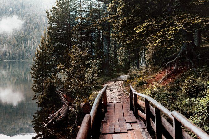 North Montenegro Tour:abljak - NP Durmitor - Black Lake - urevia Tara Bridge - What to Expect from the North Montenegro Tour