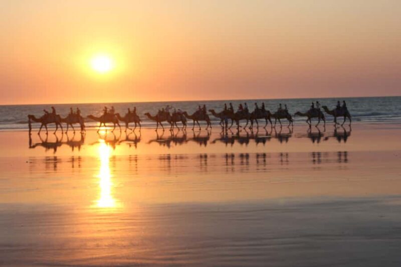 North of Rocks on Cable Beach: 1-Hour Sunset Camel Ride - An Overview of the Camel Ride Experience