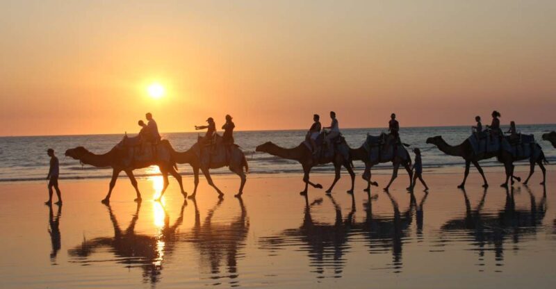 North of Rocks on Cable Beach: 1-Hour Sunset Camel Ride - An In-Depth Look at the Sunset Camel Ride Experience