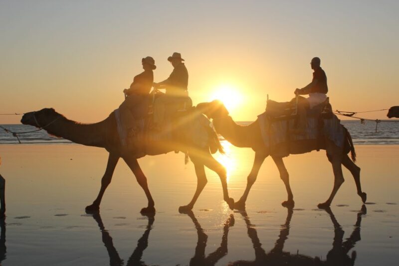 North of Rocks on Cable Beach: 1-Hour Sunset Camel Ride - Final Thoughts: The Value of a Sunset Camel Ride