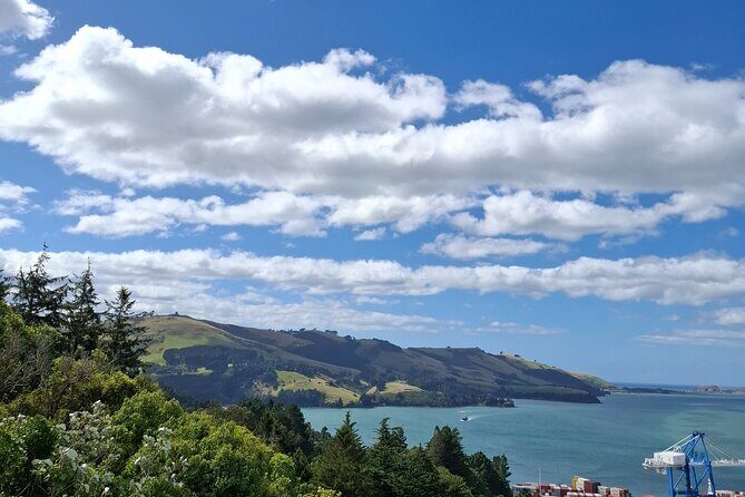 North Otago 7 Hours Scenic & Wildlife Tour - Why Choose This Tour?