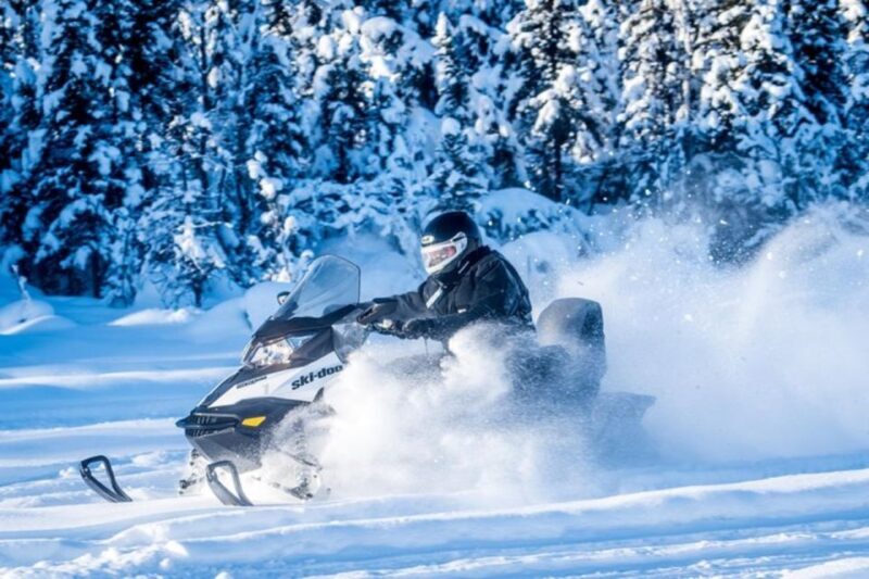 North Pole Alaska: Guided Fairbanks Snowmobile Tour - An Authentic Fairbanks Winter Experience