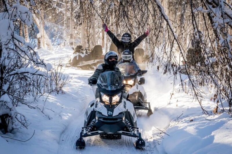 North Pole Alaska: Guided Fairbanks Snowmobile Tour - Who Will Love This Adventure?