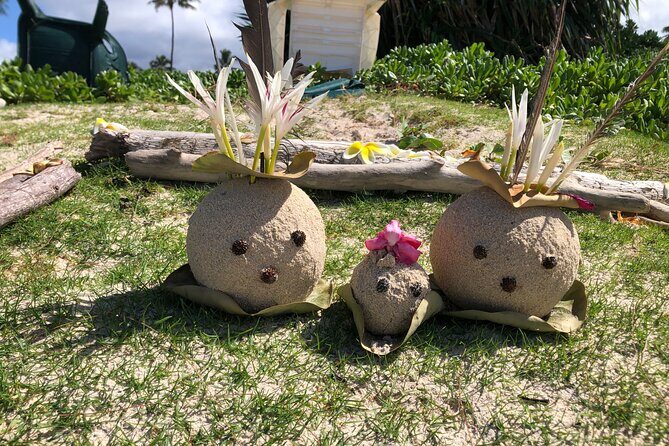 North Shore day,Waterfalls and Turtles Tour - Who Will Appreciate This Tour?