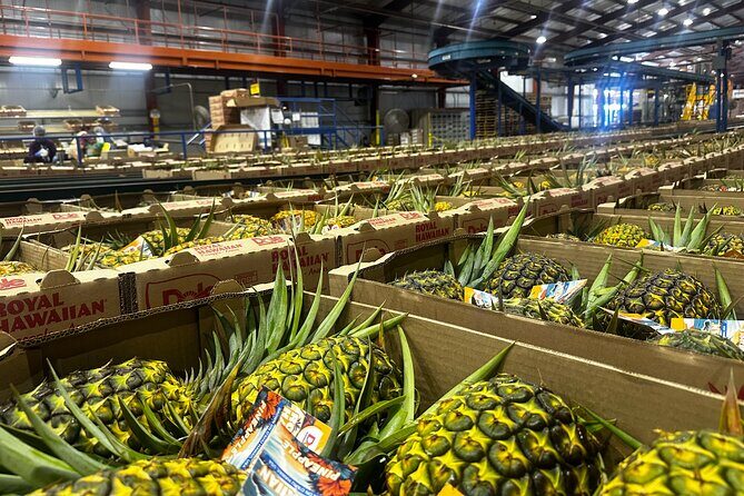 North Shore Foodie Fun: Eat, Explore, Enjoy (Incl. Dole) - Final Thoughts: Is This Tour Worth It?