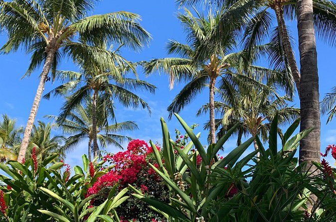 North Shore Highlight Tour - Value and Cost Analysis