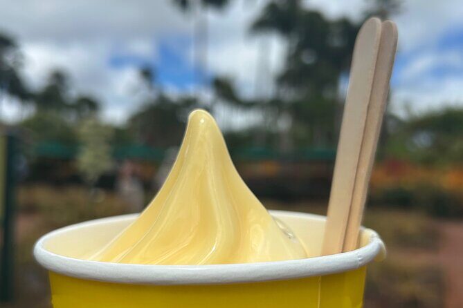 North Shore Highlight Tour - The Sum Up