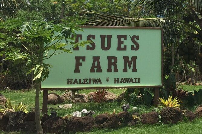 North Shore Private Tour - Who Should Consider This?