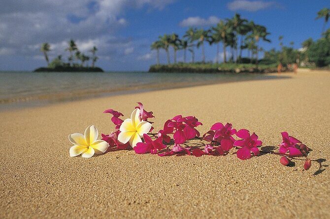 North Shore Private Tour - Final Thoughts