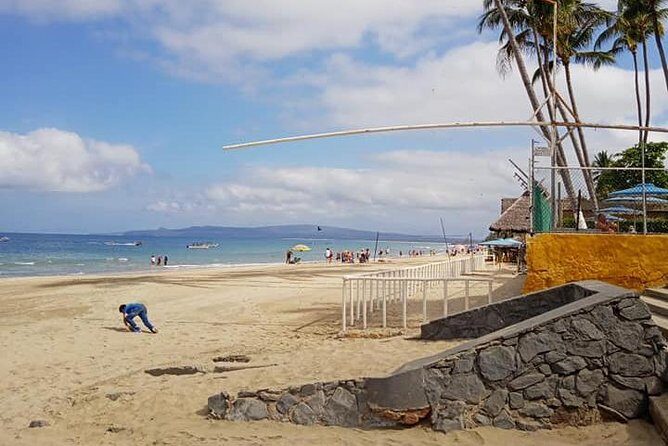 North Shore Tour - The Sum Up: Who Will Love This Tour?