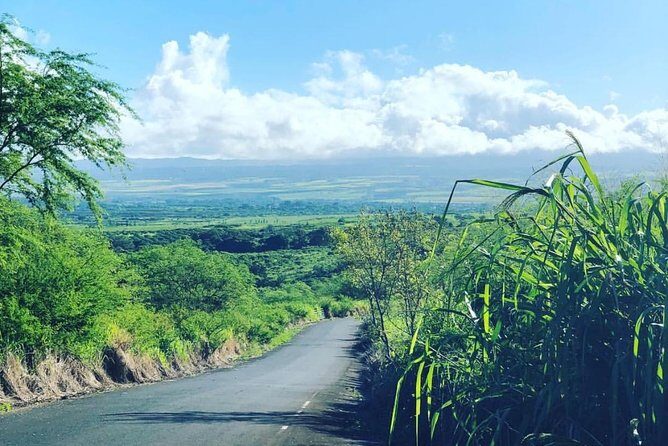 North Shore Tour Guide Hike - The Tour Itinerary: What to Expect