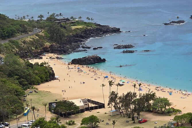 North Shore Turtle Bay Private Airport Transfer Up to 10 Guests - An In-Depth Look at the Experience