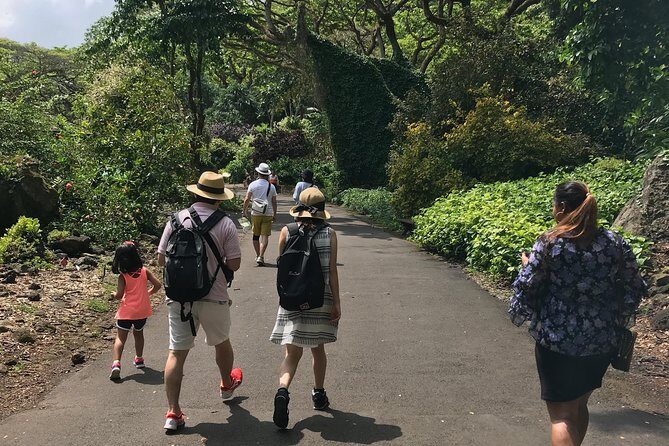 North Shore / Waimea, Falls Day & Swim with Turtles - Key Points
