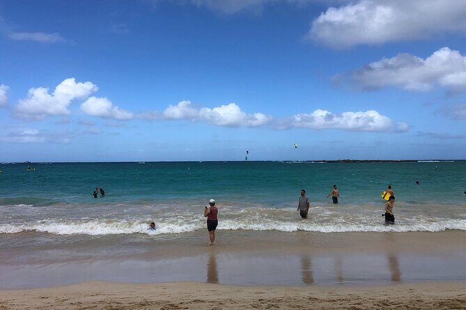 North Shore / Waimea, Falls Day & Swim with Turtles - Itinerary Breakdown