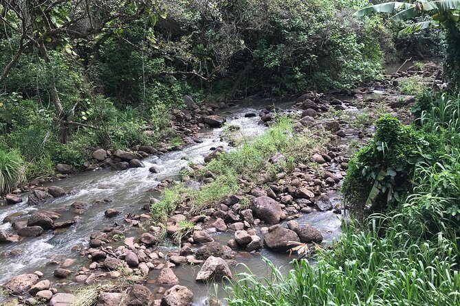 North Shore / Waimea, Falls Day & Swim with Turtles - Why This Tour Is Worth Considering