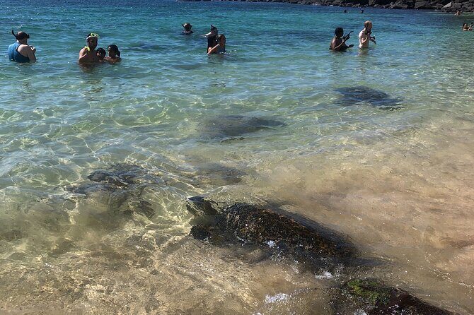 North Shore / Waimea, Falls Day & Swim with Turtles - Final Thoughts