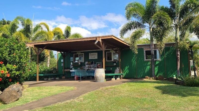 North Shore's best day! River, Turtles, Farm with Lunch - What Makes This Tour Special? A Closer Look