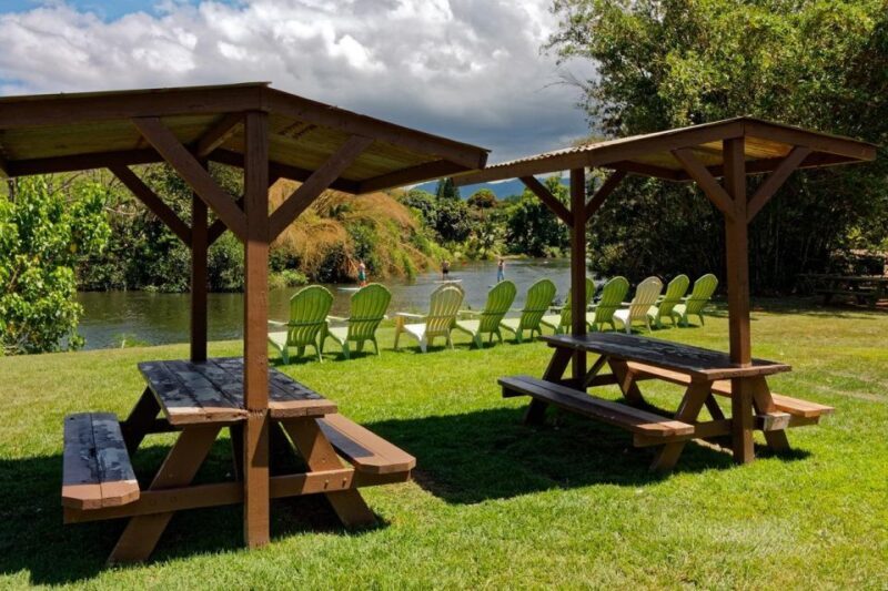 North Shore's best day! River, Turtles, Farm with Lunch - The Itinerary: A Day Filled with Natural Beauty and Local Flavors