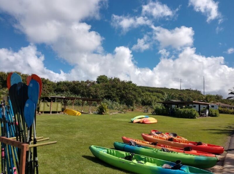 North Shore's best day! River, Turtles, Farm with Lunch - FAQ