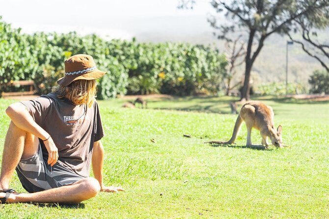 North Stradbroke Island Day Tour from Brisbane  Small Group - What You Can Expect