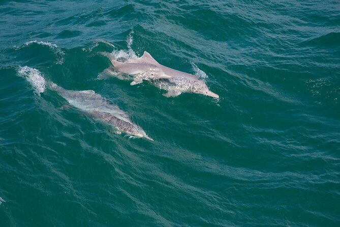 North Stradbroke Island Private Tour with Pickup - Who Should Consider This Tour?