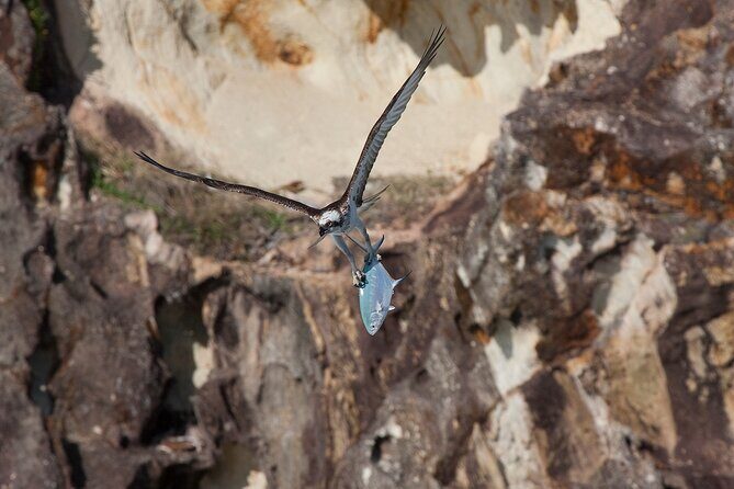North Stradbroke Island Private Tour with Pickup - FAQ