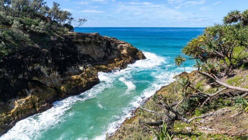 North Stradbroke Island: Whales, Wildlife & Beaches Day Trip - FAQs