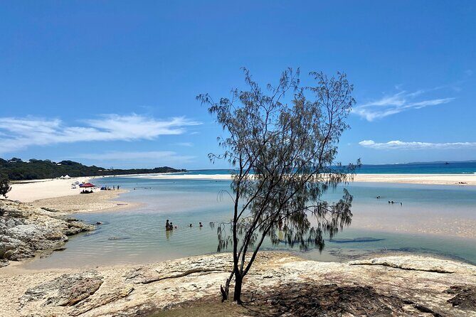 North Stradbroke Island WILDLIFE Adventure Tour from Brisbane - An In-Depth Look at the Tour