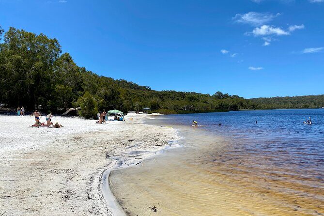North Stradbroke Island WILDLIFE Adventure Tour from Brisbane - Practical Details and Considerations