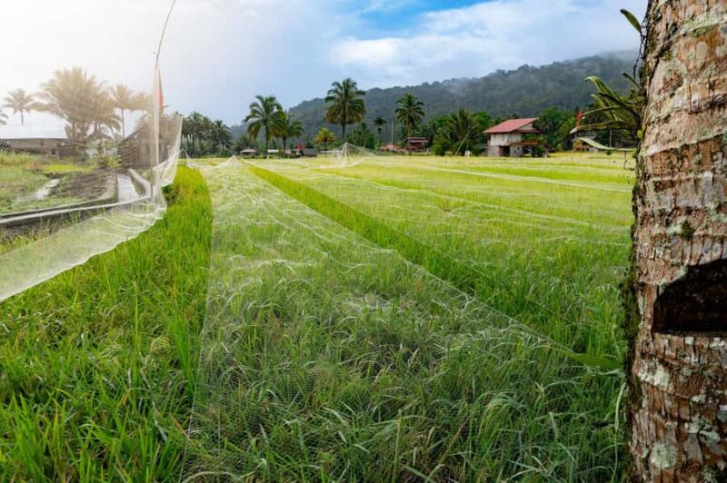 North Sulawesi, Tomohon: Minahasa Culture & Nature Tour - FAQ