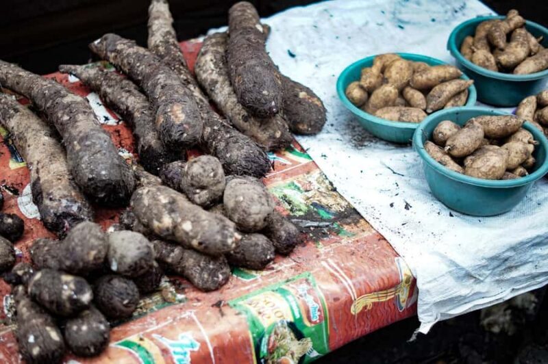 North Sulawesi, Tomohon: Minahasa Culture & Nature Tour - Wrapping It Up