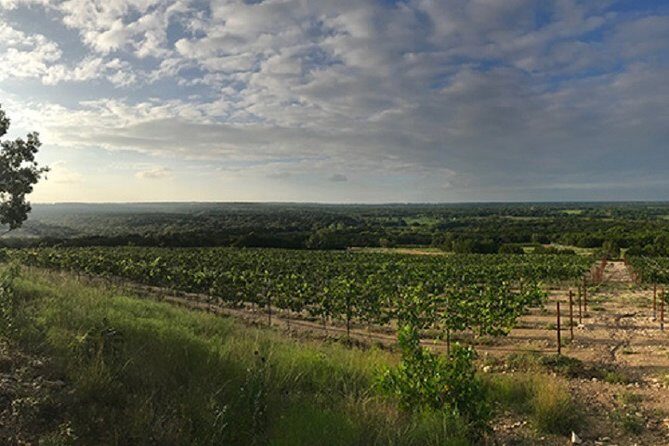 North Texas Wineries & Vineyards Tour & Tastings-6 person minimum - Key Points